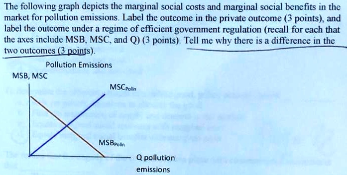 The following graph depicts the marginal social costs and marginal ...