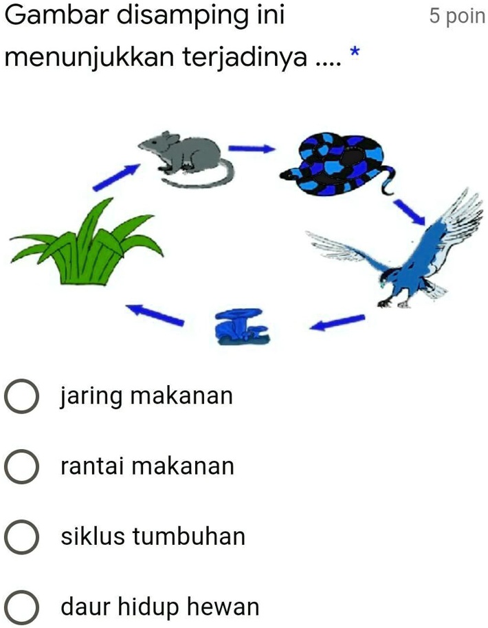 SOLVED: bantu kak :(#butuhwaktucepatjgn ngasal!! Gambar disamping ini ... SOLVED: bantu kak :(#butuhwaktucepatjgn ngasal!! Gambar disamping ini ...