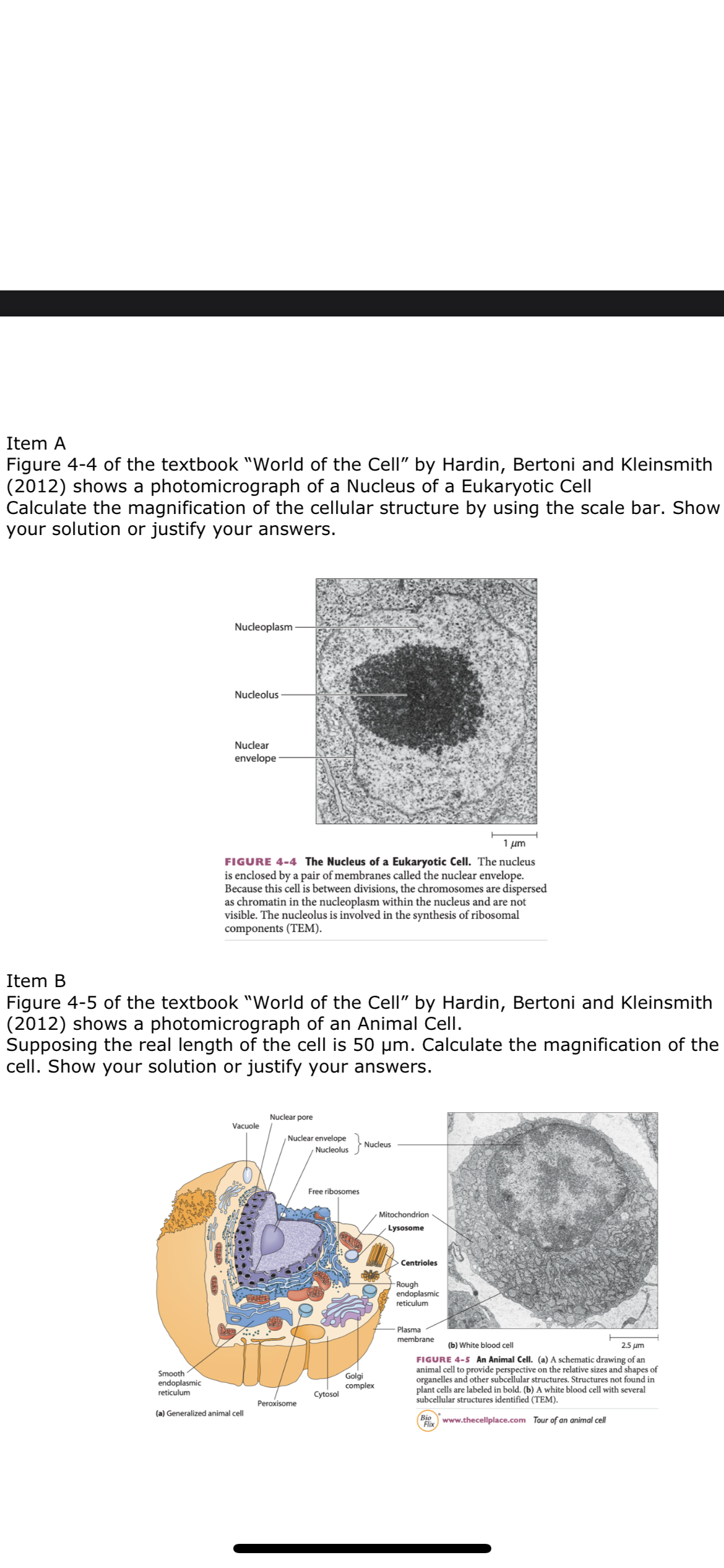 Item A Figure 4-4 of the textbook "World of the Cell" by Hardin ...
