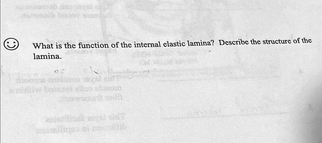 SOLVED: (2) What is the function of the internal elastic lamina ...