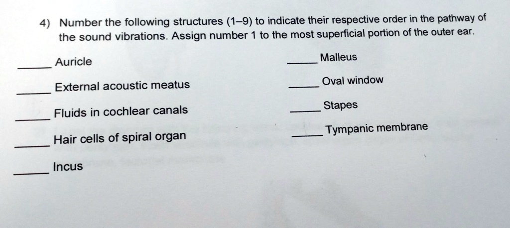 [GET ANSWER] 4) Number the following structures (1-9) to indicate their ...