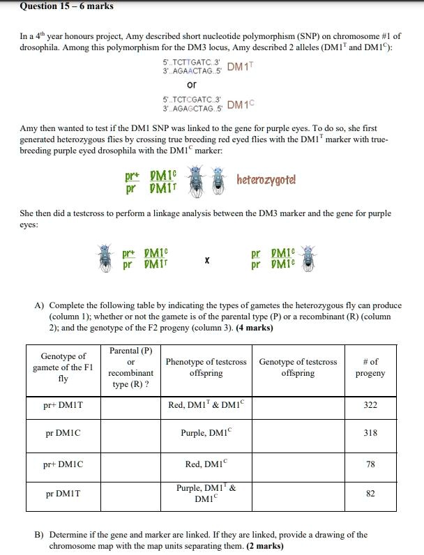 SOLVED: Question15-6marks In a 4th year honours project, Amy described ...