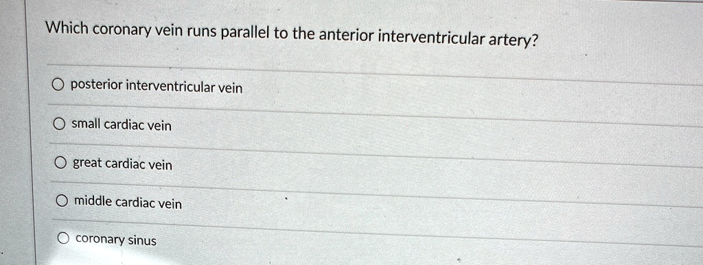 which coronary vein runs parallel to the anterior interventricular ...