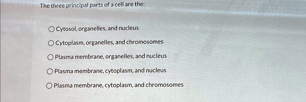 The three principal parts of a cell are the: ? Cytosol, organelles, and ...