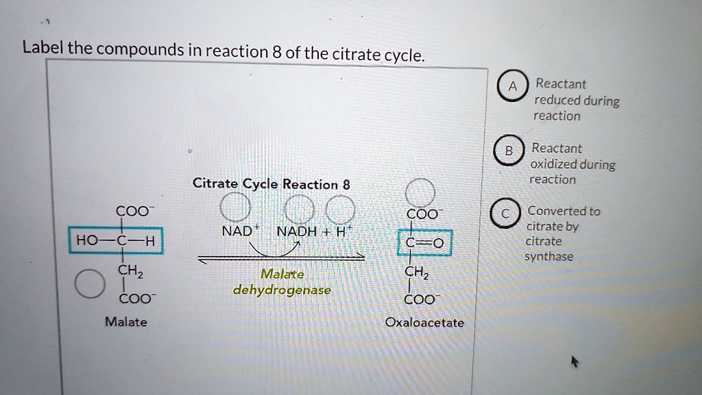label the compounds in reaction 8 of the citrate cycle reactant reduced ...