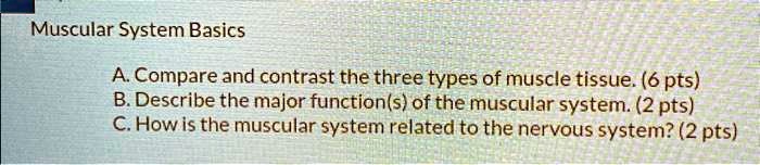 Muscular System Basics A. Compare and contrast the three types of ...