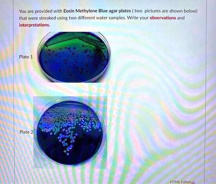 you are provided with eosin methylene blue agar plates two pictures are ...