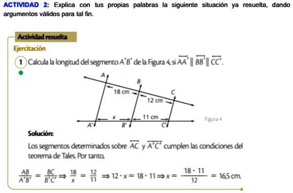 SOLVED: Ayudaaa por favor :(( ACTIVIDAD Explica con argumentos válidos ...