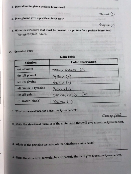 SOLVED: Does albumin give a positive biuret test? Albumin (+) Does ...