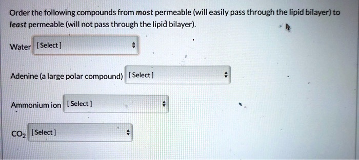 SOLVED: Order the following compounds from most permeable (will easily ...