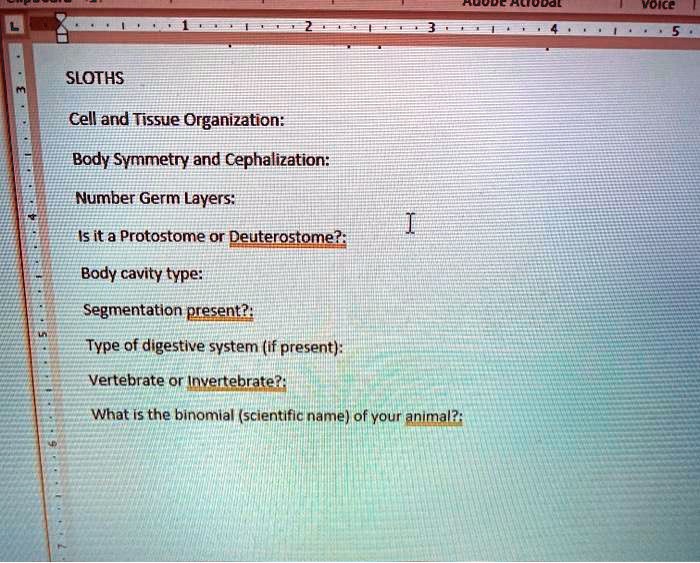 SOLVED: Text: Voice SLOTHS Cell and Tissue Organization: Body Symmetry ...