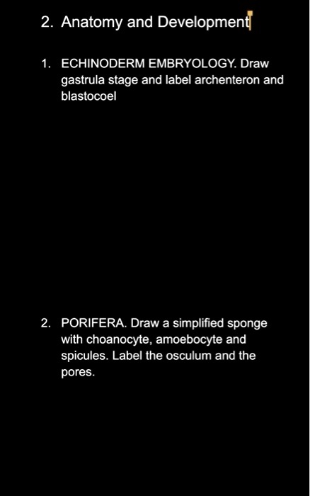 SOLVED: Anatomy and Development ECHINODERM EMBRYOLOGY: Draw the ...