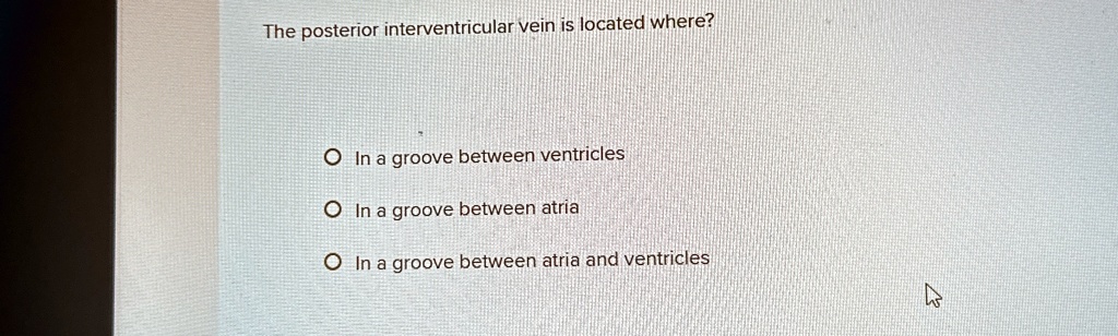 The posterior interventricular vein is located where? In a groove ...