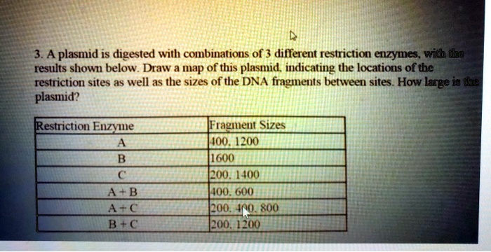 SOLVED: A plasmid is digested with combinations of 3 different restriction enzymes. The results ...