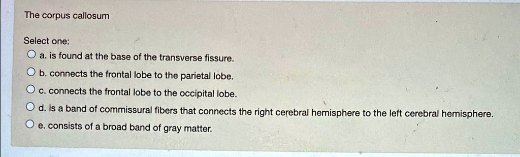 The corpus callosum Select one: a. is found at the base of...