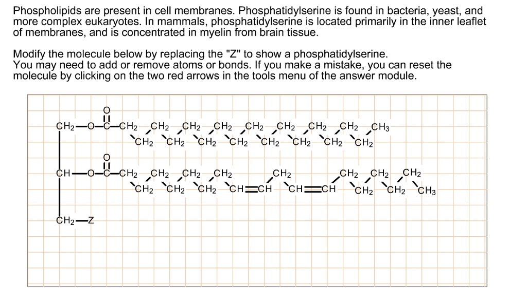 SOLVED: Phospholipids are present in cell membranes Phosphatidylserine ...
