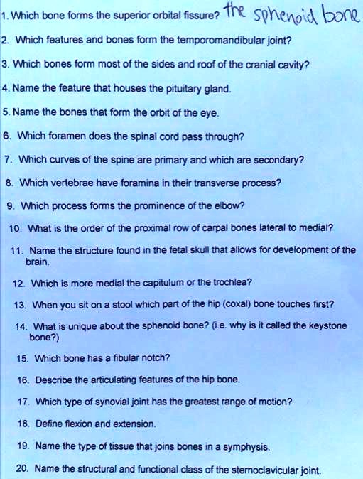 1. Which bone forms the superior orbital fissure? the sphenoid bone 2 ...