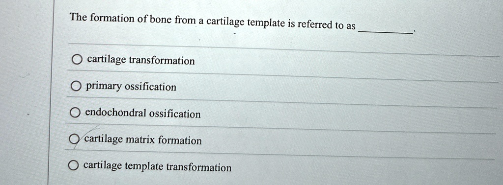 the formation of bone from a cartilage template is referred to as ...