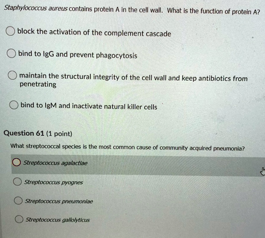 [GET ANSWER] staphylococcus aureus contains protein a in the cell wall ...
