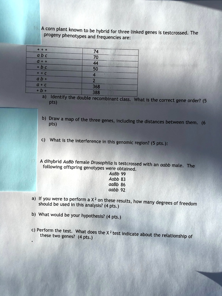 SOLVED: corn plant known to be hybrid for three linked genes is ...