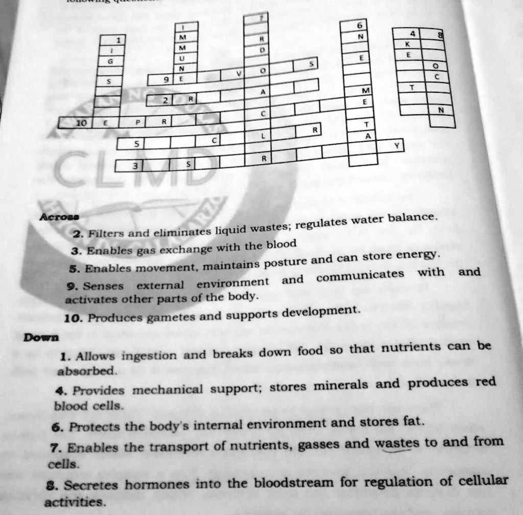d following questions write your answers on your answer sheet learning task 1 as you start ...