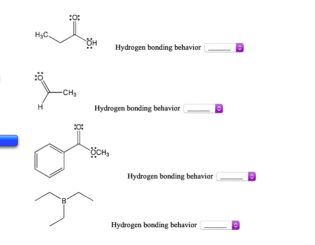 SOLVED: Hydrogen bonding behavior