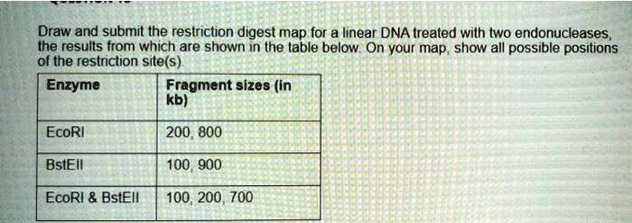SOLVED: Draw and submit the restriction digest map for a linear DNA treated wilh two ...