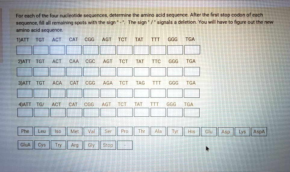 SOLVED: For each of the four nucleotide sequences, determine the amino ...