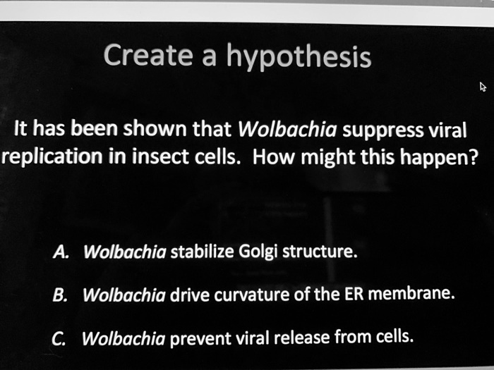 SOLVED:Create a hypothesis It has been shown that Wolbachia suppress ...