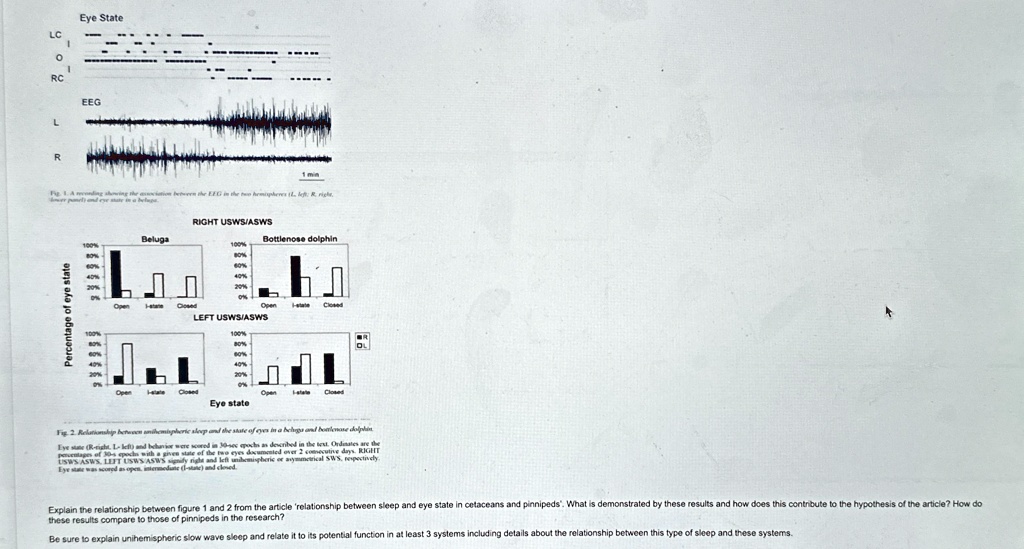 Eye State LC RC EEG L R Percentage of eye state RIGHT USWS/ASWS Beluga ...