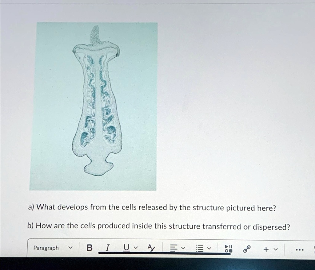 a) What develops from the cells released by the structure pictured here ...