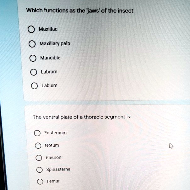 SOLVED:Which functions as the jaws' of the insect Maxillae Maxillary ...