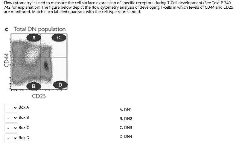 flow cytometry is used to measure the cell surface expression of ...