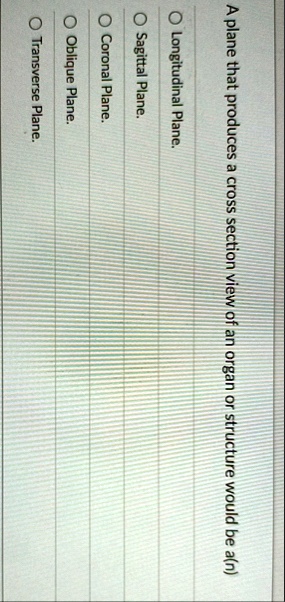 a plane that produces a cross section view of an organ or structure ...