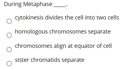 SOLVED: During Metaphase cytokinesis divides the cell into two cells ...