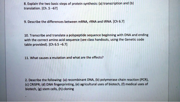 explain the two basic steps of protein synthesis a transcription and b ...