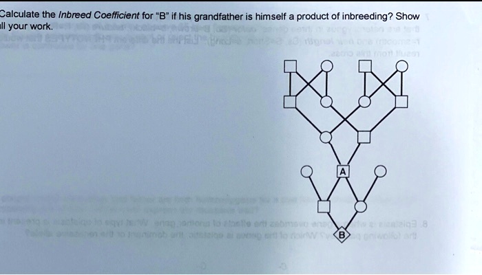 SOLVED: Calculate the Inbreed Coefficient for "B" if his grandfather is ...