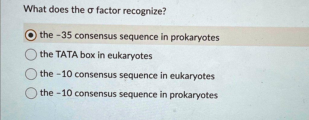 SOLVED: What does the sigma factor recognize? the -35 consensus ... SOLVED: What does the sigma factor recognize? the -35 consensus ...