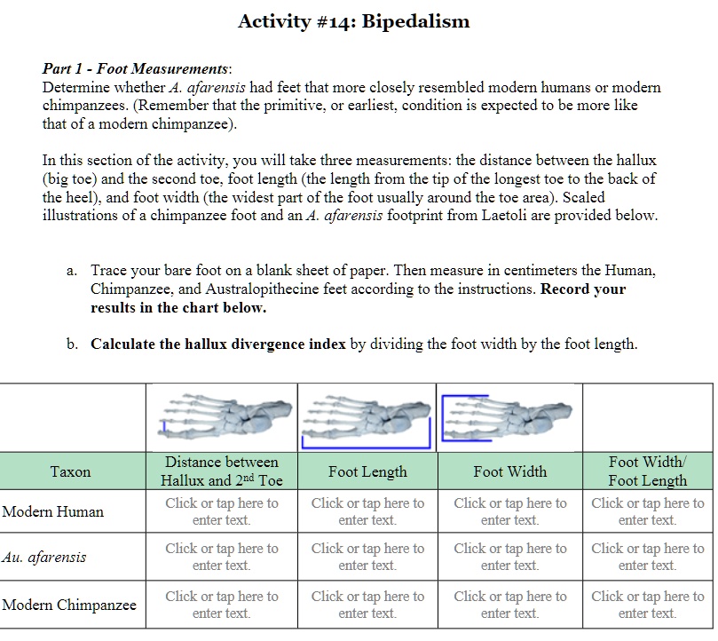 SOLVED: Activity #14: Bipedalism Part 1 - Foot Measurements: Determine ...