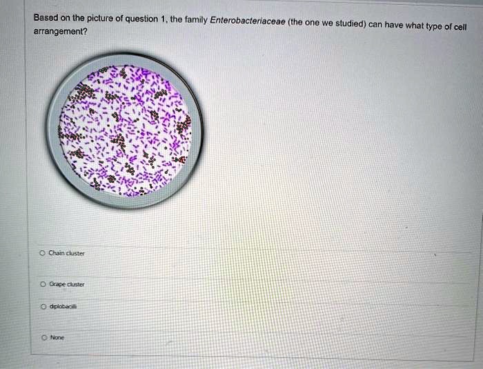 Based on the picture of question 1, the family Enterobacteriaceae (the ...