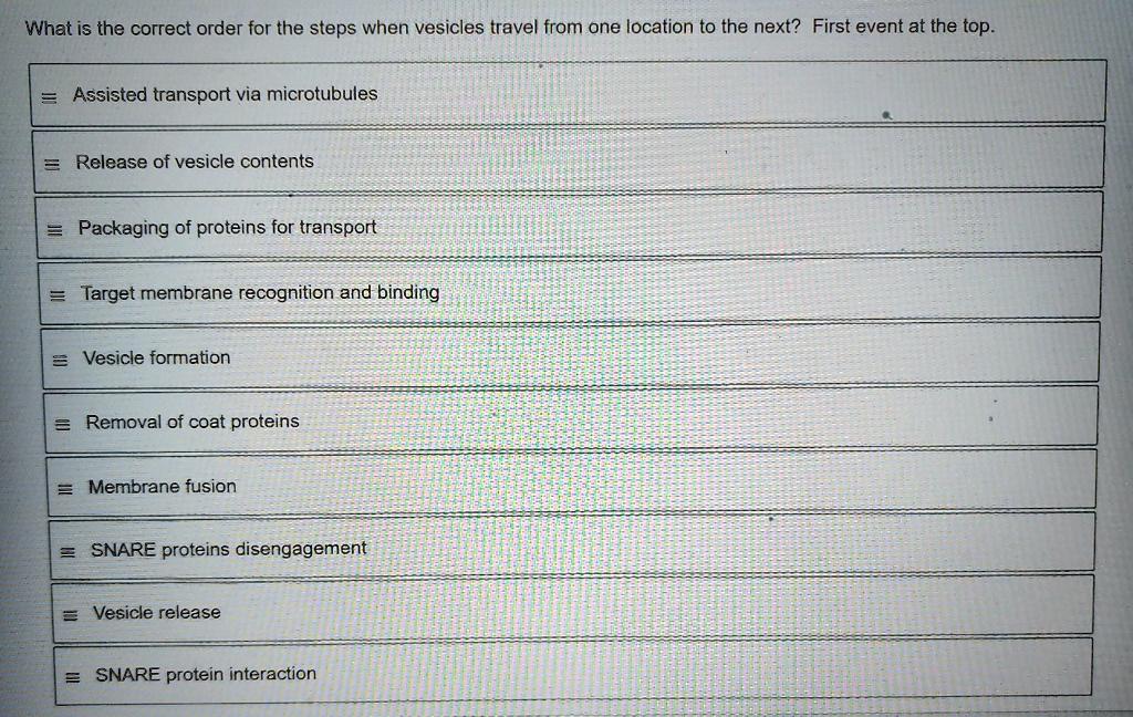 What is the correct order for the steps when vesicles travel from one ...