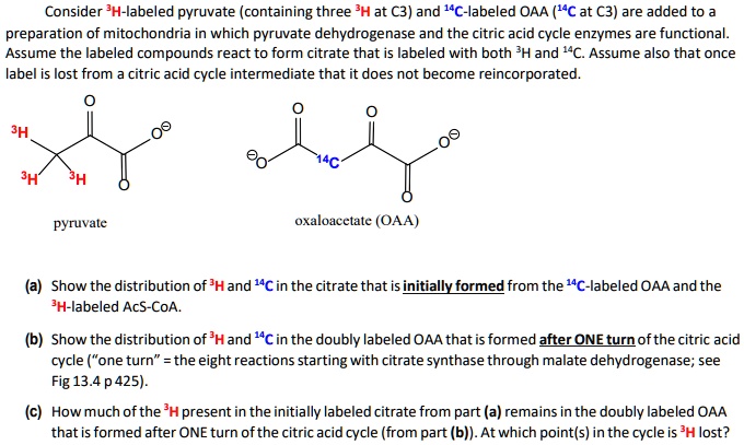 Consider ^3H-labeled pyruvate (containing three ^3H at C3) and ^14C ...