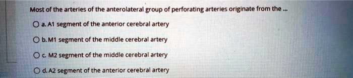 Most of the arteries of the anterolateral group of perforating arteries ...