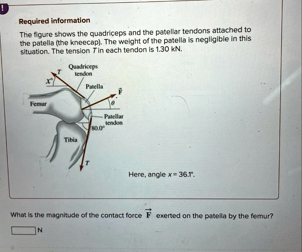 required information the figure shows the quadriceps ad the patellar ... required information the figure shows the quadriceps ad the patellar ...
