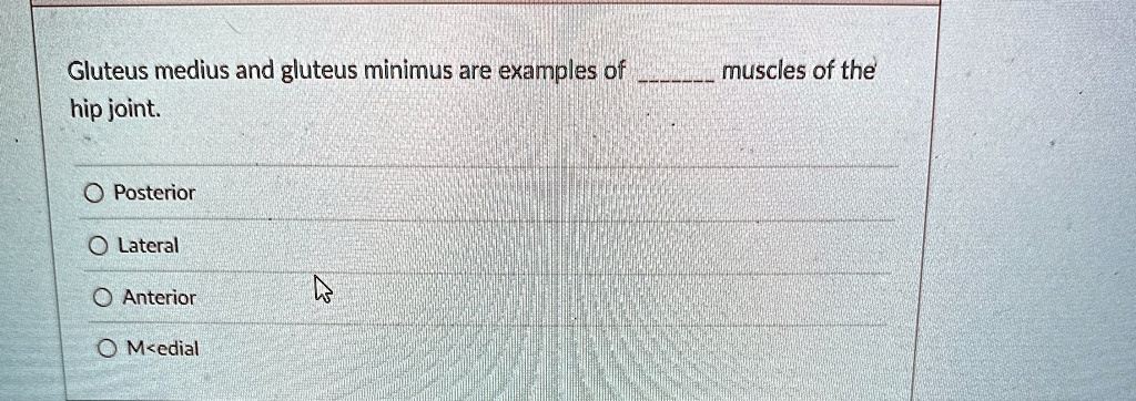 Gluteus medius and gluteus minimus are examples of muscles of the hip ...