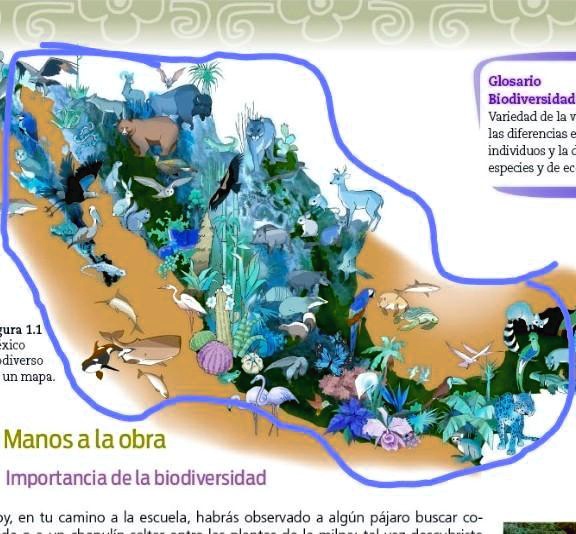 SOLVED: Qué características naturales identificas Glosario ...