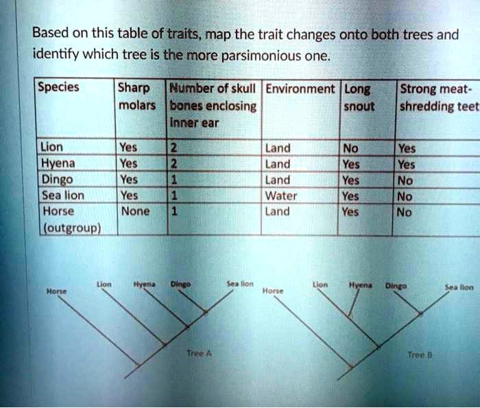 based on this table of traits map the trait changes onto both trees and ...