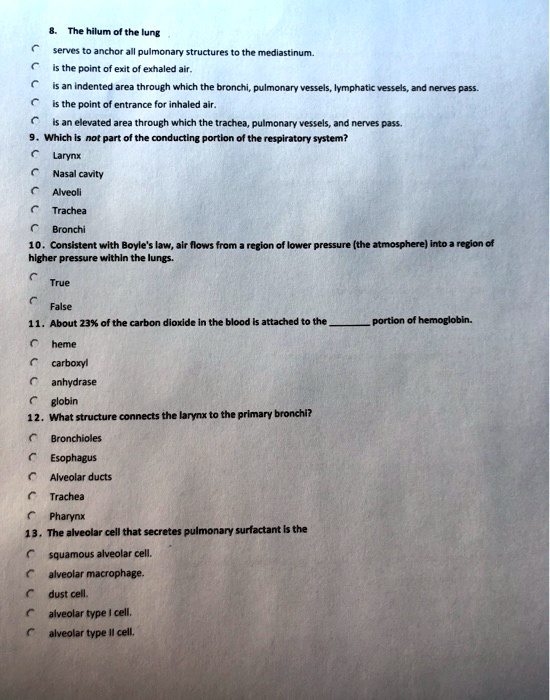 SOLVED: 8. The hilum of the lung serves to anchor all pulmonary ...