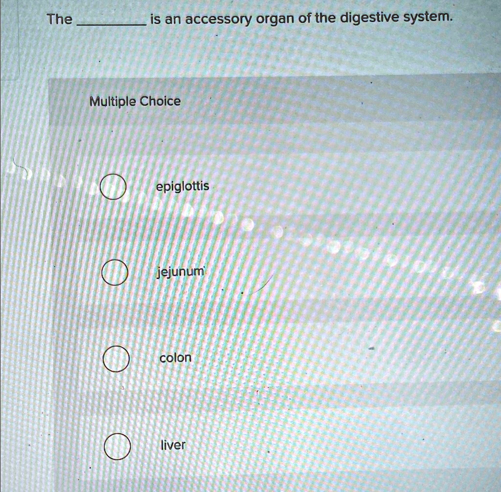 SOLVED: The is an accessory organ of the digestive system. Multiple ...