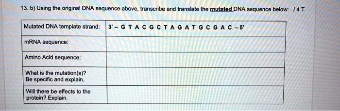 SOLVED: Using the original DNA sequence above, transcribe and translate the mutated DNA sequence ...